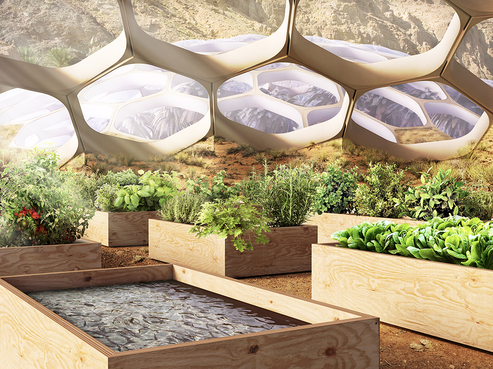 Wind and Solar-Powered Biodomes to Boost UAE Ecotourism — Land Art ...