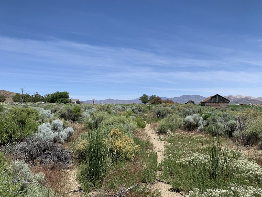 Design the Future of Fly RanchLAGI 2020 Fly Ranch is Open! — Land Art ...